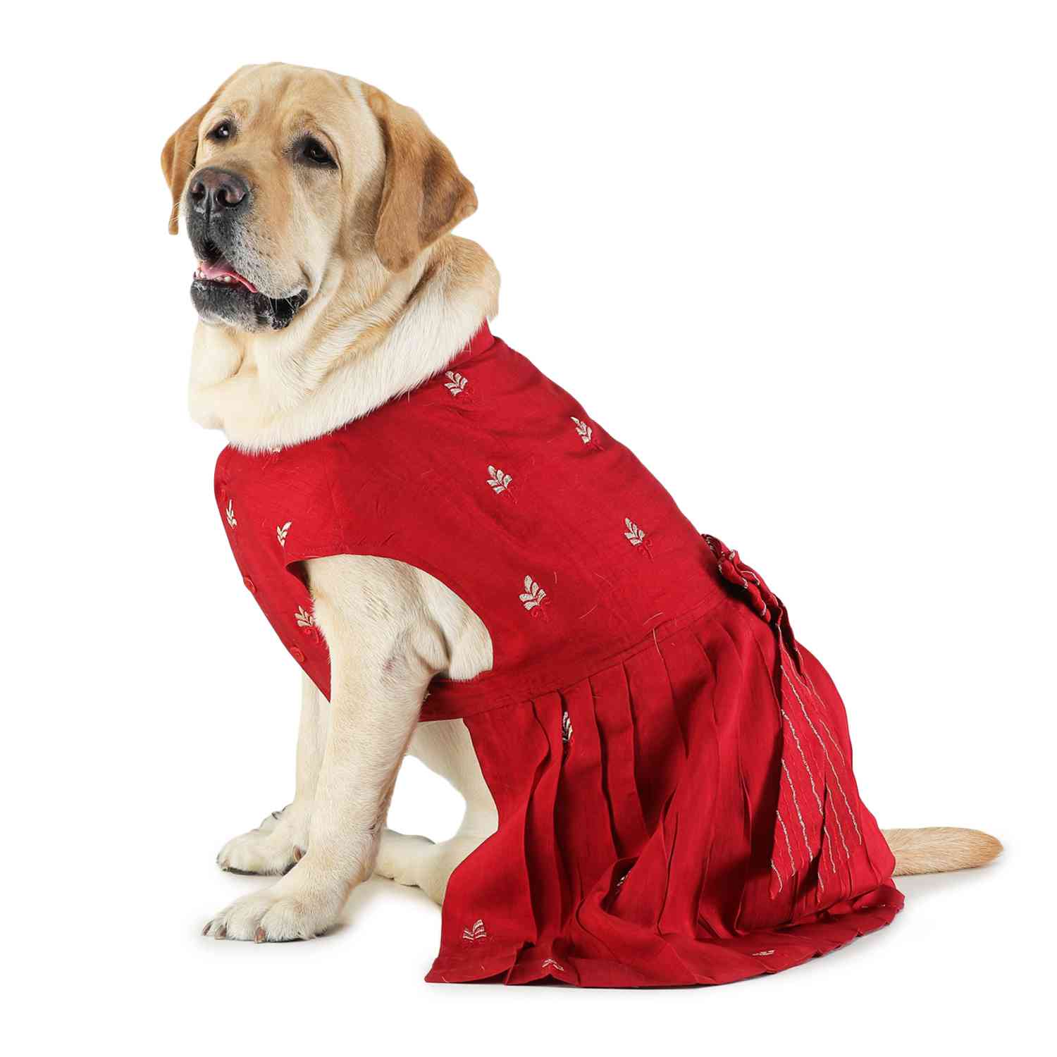 Lehenga – Barks & Wags