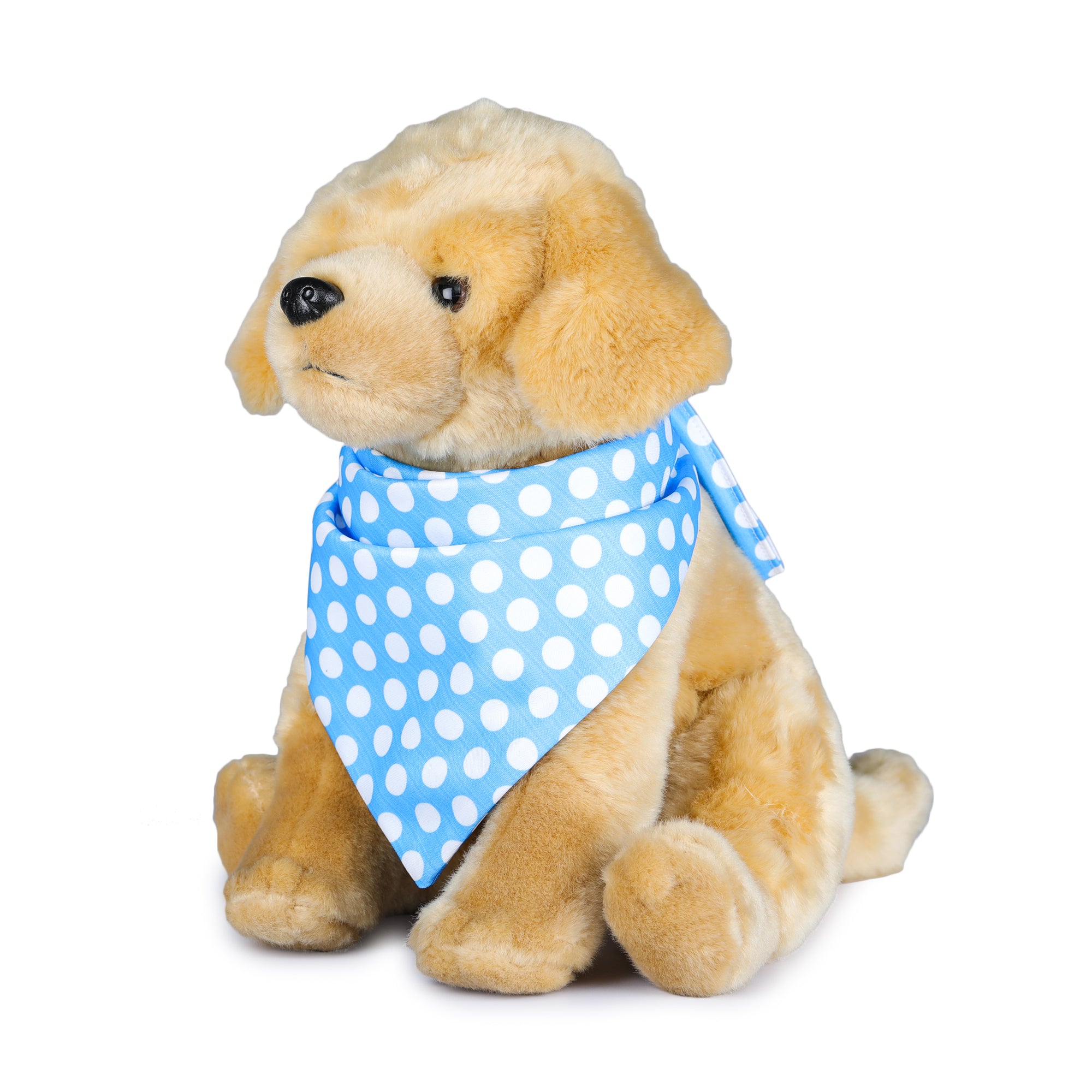 Products Barks Wags products-barks-wags